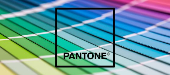Pantone Colors Explained for Beginners | Nisarg Pandya